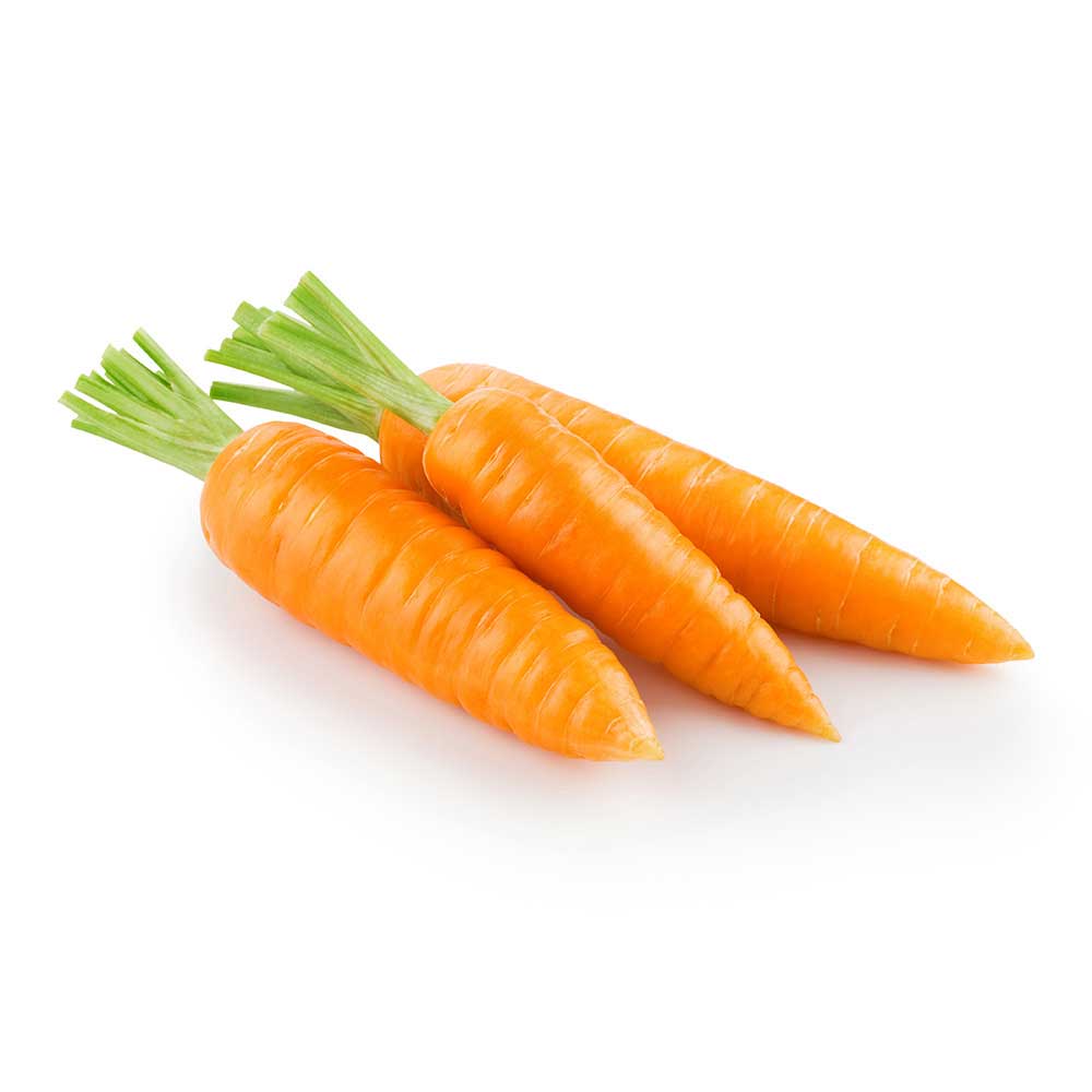 Carota - Risto Gala